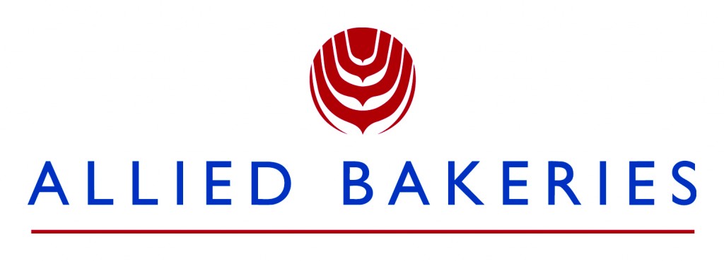 Why Us? - Intelligent Business Strategies