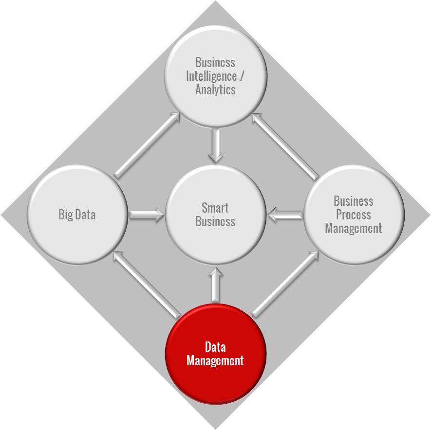 Data Management Consulting - Intelligent Business Strategies
